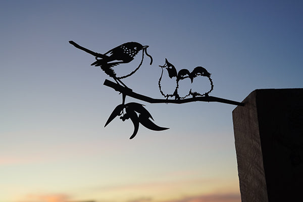 Blue Wren and Babies – Metalbird Australia