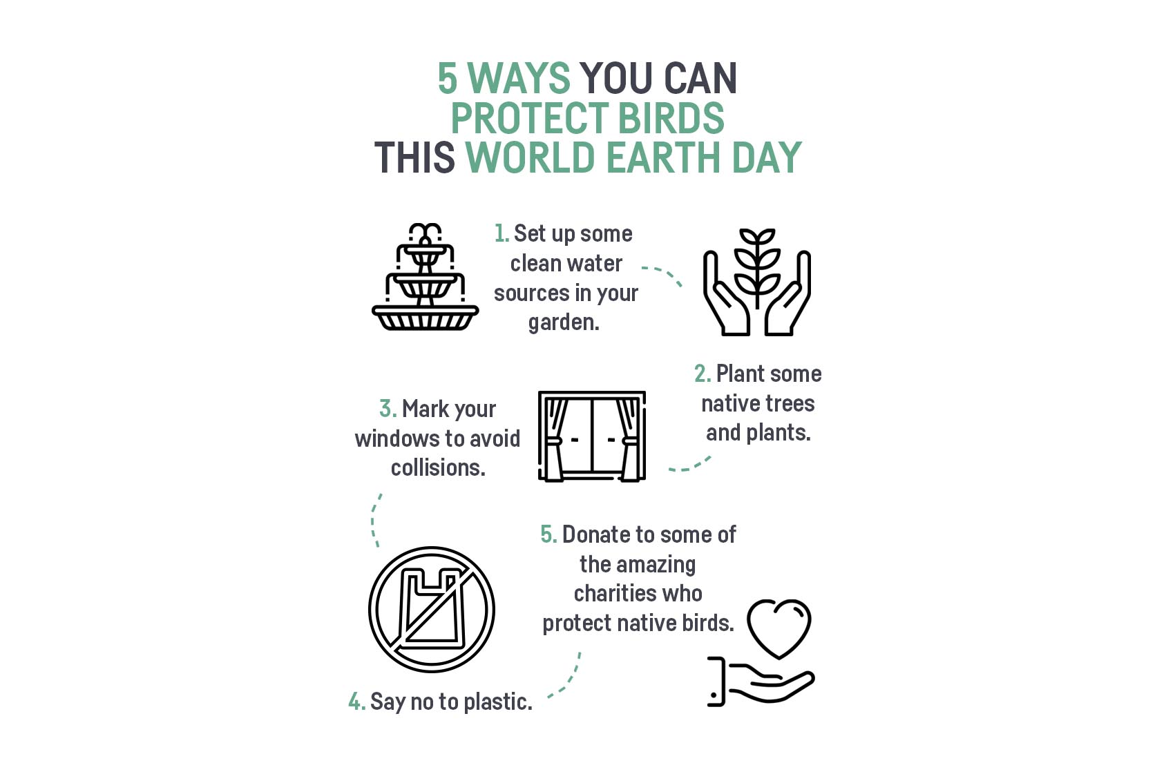 5 Ways You Can Protect Birds This World Earth Day – Metalbird Australia